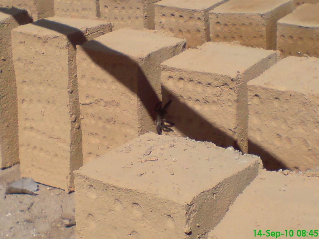 Mini-Guía de Construcción con Adobe I | LaRutaNatural | La casa de ...